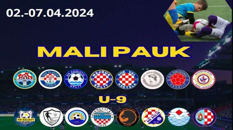 Nogometni turnir ''Mali pauk 2024''