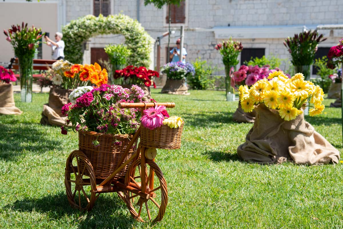24. Kaštelanski praznik cvijeća: Đardin u Novom ukrašen šarenim ...